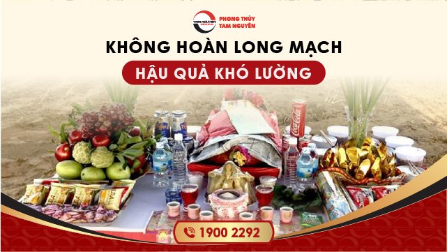 KHÔNG HOÀN LONG MẠCH - HẬU QUẢ KHÓ LƯỜNG